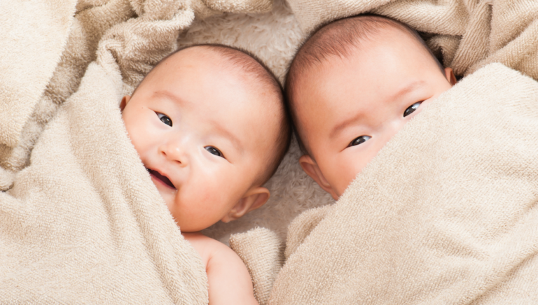 What to Expect When Having Twins + Types of Twins